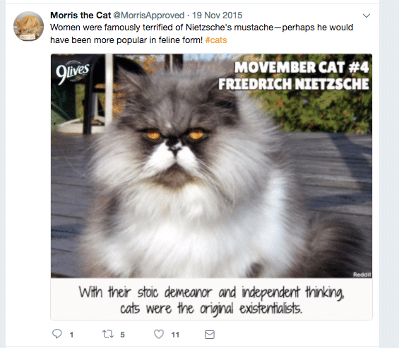 Morris the Cat - PR Hacker