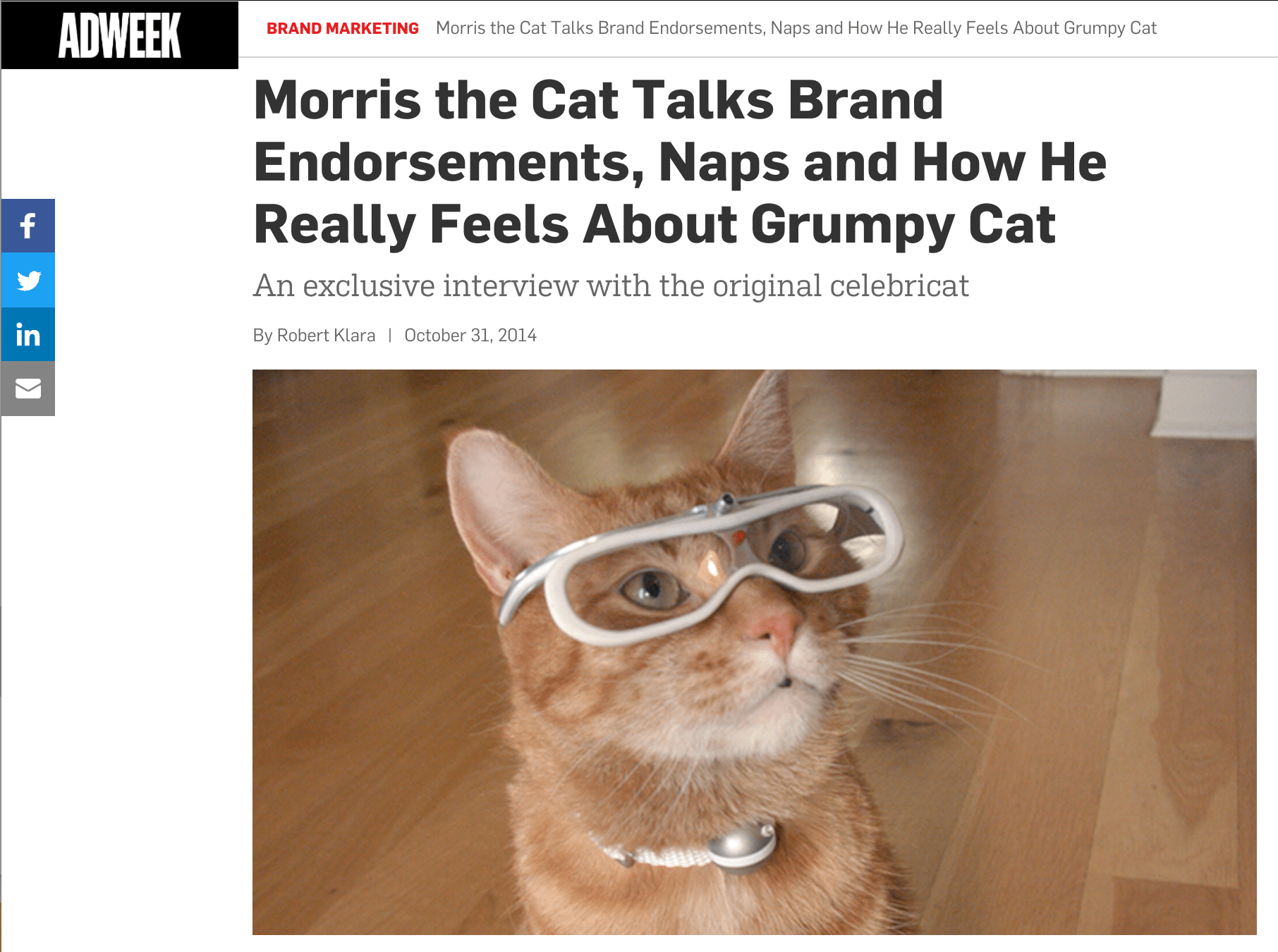 Morris the Cat - PR Hacker